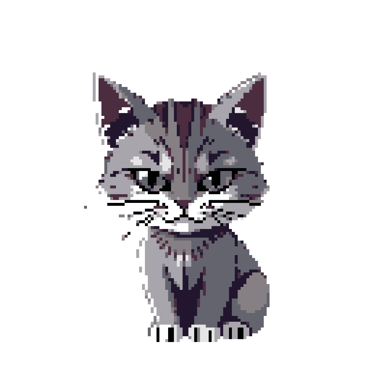 Grumpy Gray Cat Portrait: Cute & Sly Mood