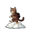 A tabby cat has golden eyes, carries a black backpack and steps on ...